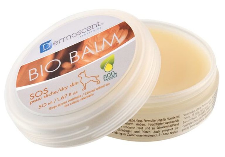 10 Best Paw Balms for Dogs in 2025 - Reviews & Top Picks – Dogster