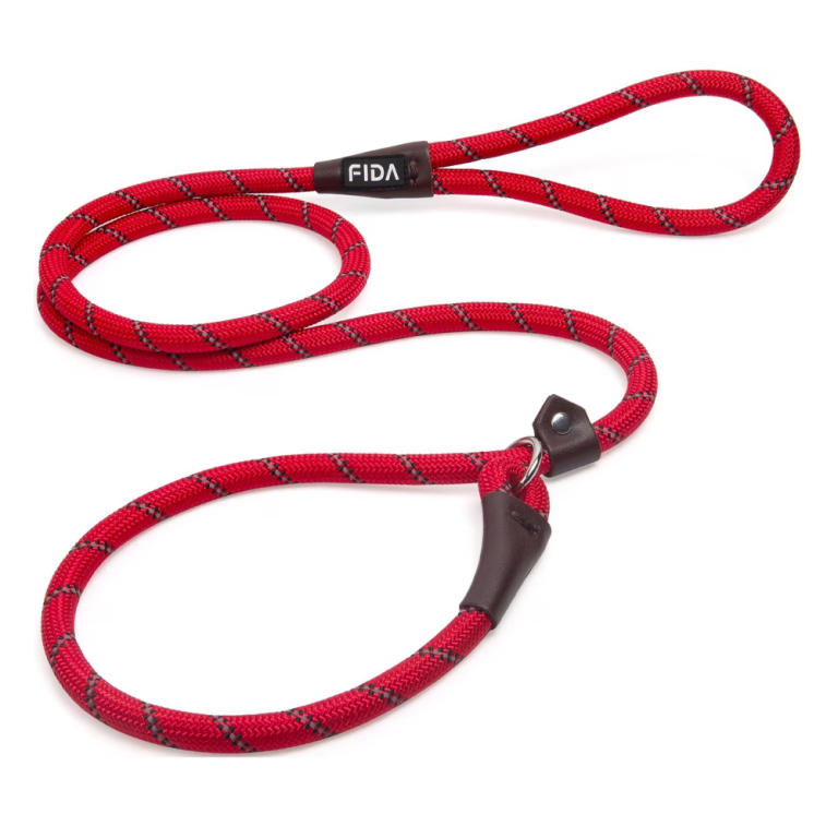 7 Best Slip Leads for Dogs in 2025 - Reviews & Top Picks – Dogster