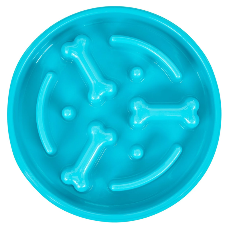 10 Best Slow Feeder Dog Bowls in 2026 - Reviews & Top Picks – Dogster