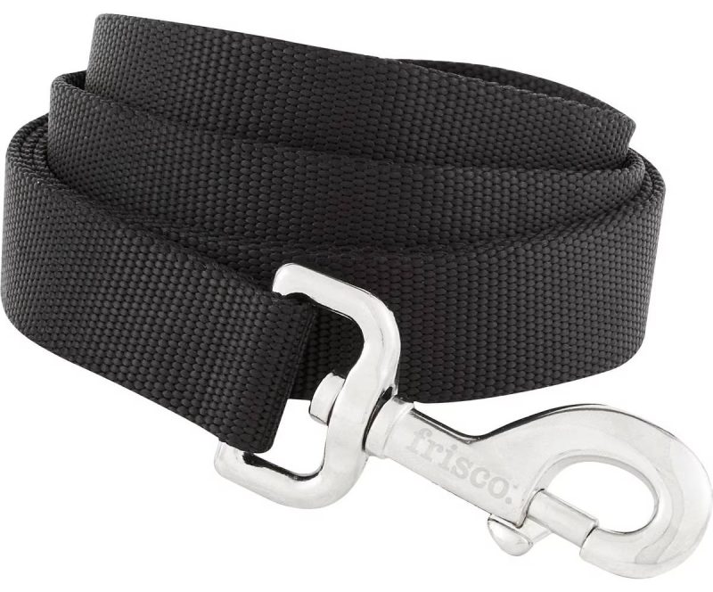 10 Best Dog Leashes for Large Dogs in 2025 - Reviews & Top Picks – Dogster
