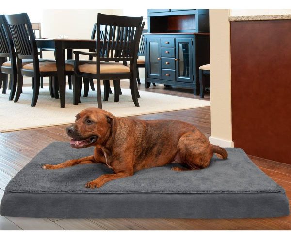 10 Best Memory Foam Dog Beds in 2026 - Reviews & Top Picks – Dogster