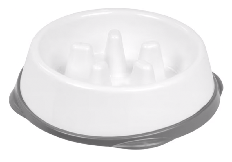10 Best Slow Feeder Dog Bowls in 2026 - Reviews & Top Picks – Dogster