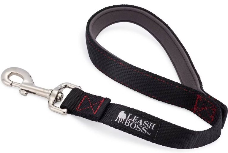 10 Best Dog Leashes for Large Dogs in 2026 - Reviews & Top Picks – Dogster