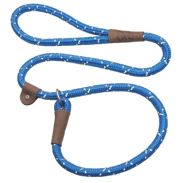 10 Best Dog Leashes for Large Dogs in 2025 - Reviews & Top Picks – Dogster