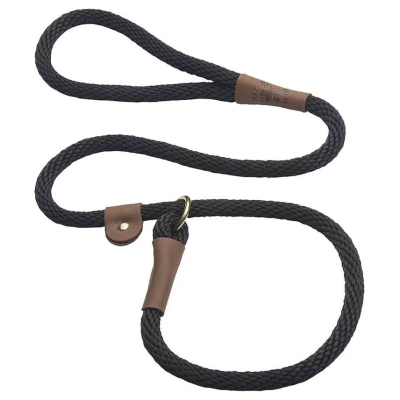 10 Best Dog Leashes for Large Dogs in 2025 - Reviews & Top Picks – Dogster