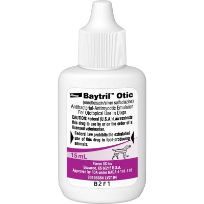 9 Best Dog Ear Infection Medications in 2025 - Reviews & Top Picks ...