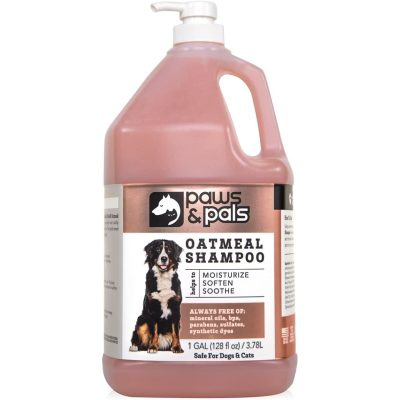 9 Best Oatmeal Shampoos for Dogs in 2025 - Reviews & Top Picks (Vet ...