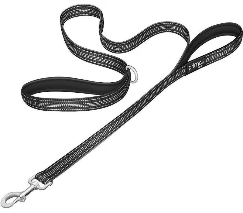 10 Best Dog Leashes for Large Dogs in 2025 - Reviews & Top Picks – Dogster