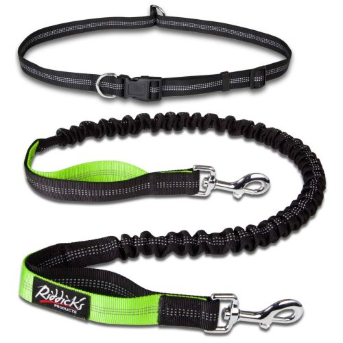 9 Best Dog Leashes for Running in 2025 - Reviews & Top Picks – Dogster