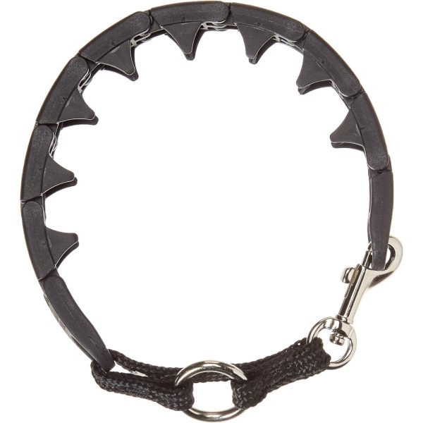 7 Best Collars for Dogs That Pull in 2025 - Reviews & Top Picks – Dogster