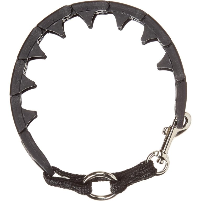 7 Best Collars for Dogs That Pull in 2025 - Reviews & Top Picks – Dogster