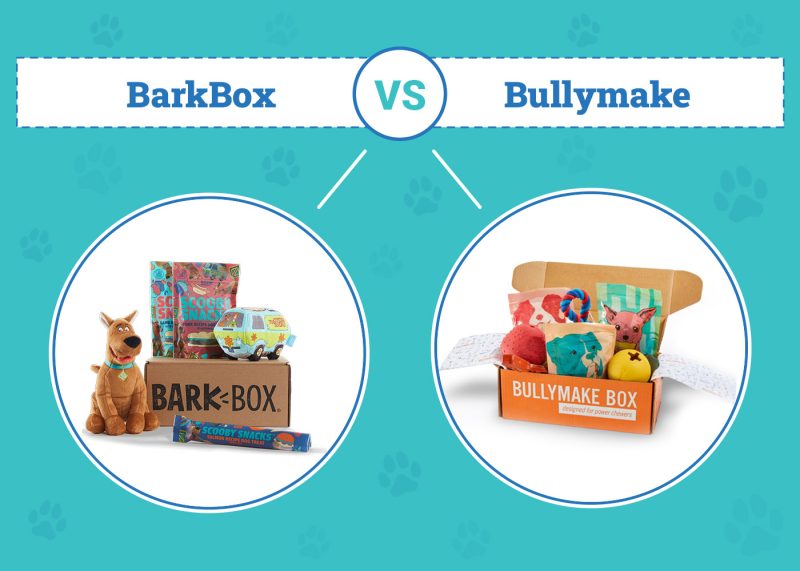 BarkBox vs Bullymake (2025 Comparison): Which One is Better? – Dogster