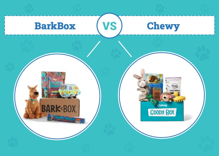 BarkBox vs Chewy Dog Subscription Box: Complete Comparison 2025 Update ...