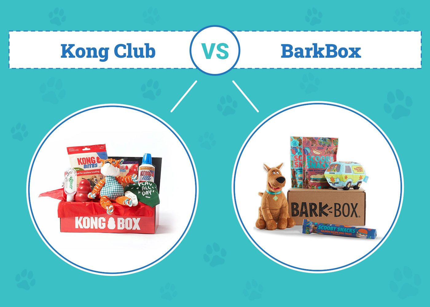 Barkbox vs store