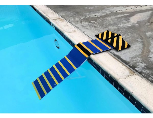 10 Best Pool Ramps for Dogs in 2024 - Reviews & Top Picks – Dogster