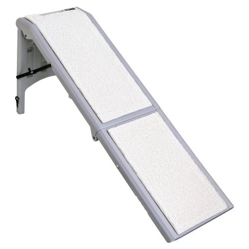 10 Best Pool Ramps for Dogs in 2025 - Reviews & Top Picks – Dogster