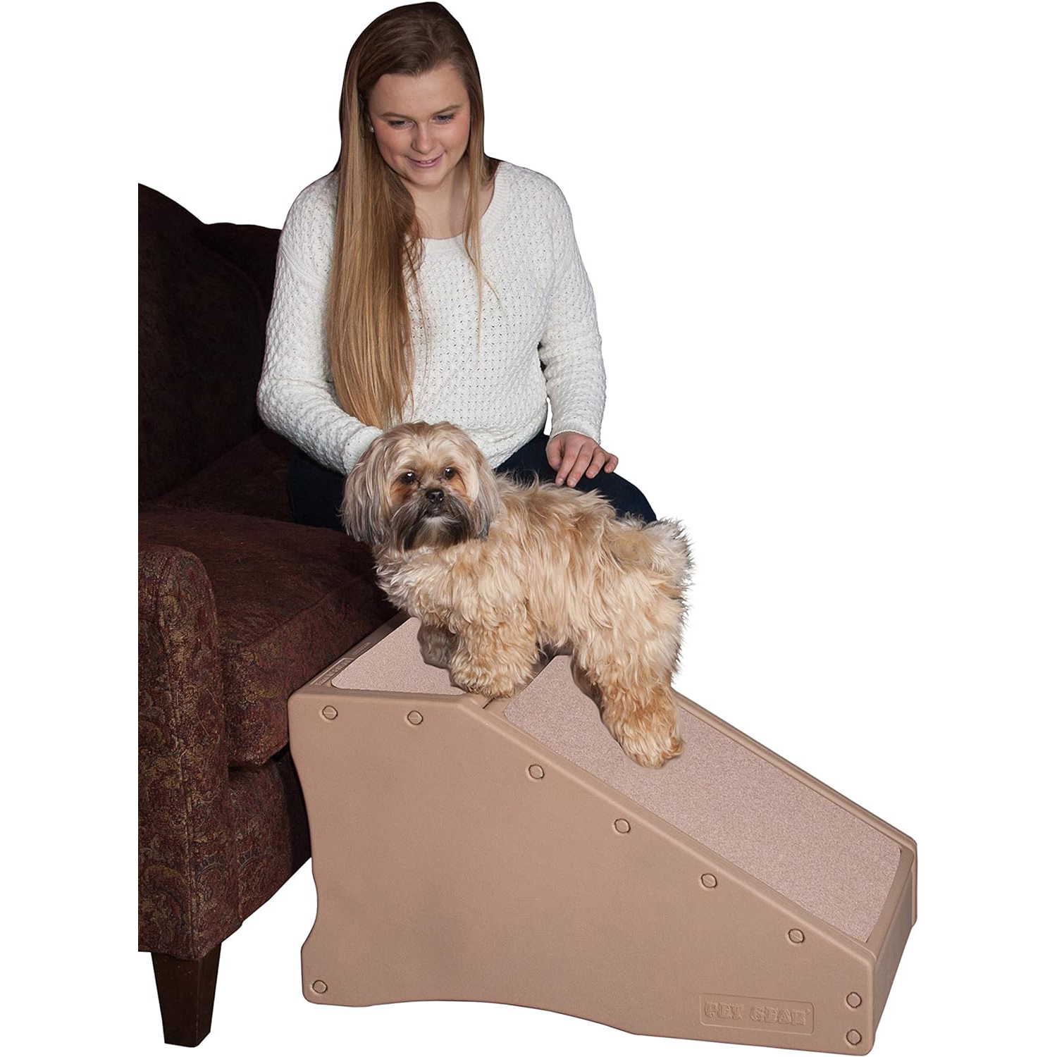10 Best Dog Ramps For Older Dogs in 2024 - Reviews & Top Picks – Dogster