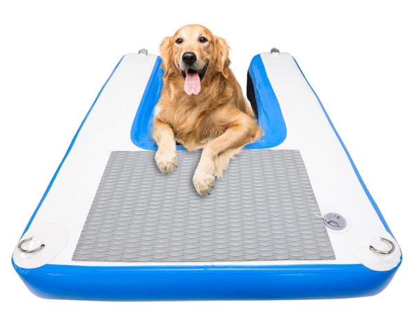 10 Best Pool Ramps for Dogs in 2025 - Reviews & Top Picks – Dogster