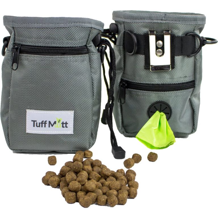 8 Best Dog Treat Pouches in 2026 – Reviews & Top Picks – Dogster