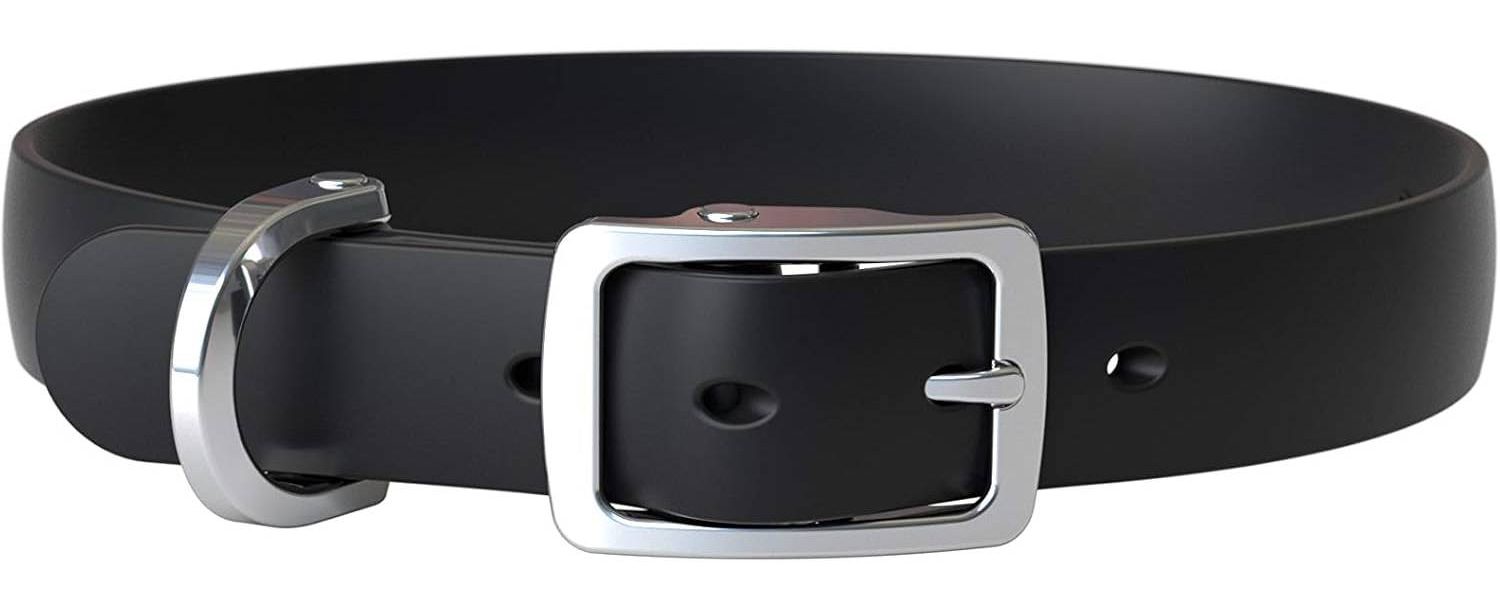 14 Best Waterproof Dog Collars in 2025 - Reviews & Top Picks – Dogster