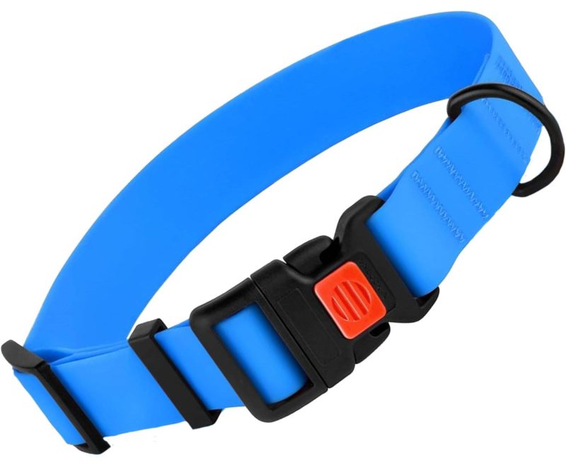 14 Best Waterproof Dog Collars in 2025 - Reviews & Top Picks – Dogster