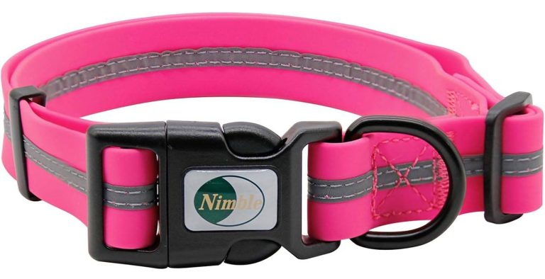 12 Best Waterproof Dog Collars in 2026 - Reviews & Top Picks – Dogster