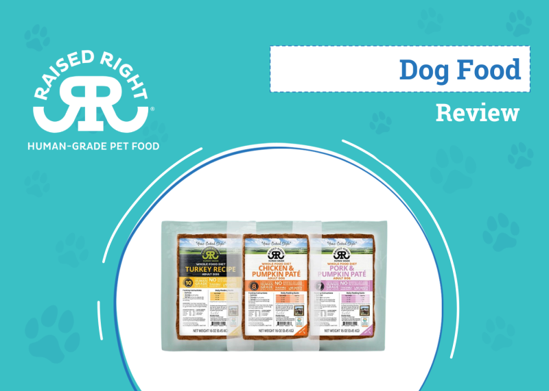 Raised Right Dog Food Review 2025: Our Expert’s Opinion – Dogster
