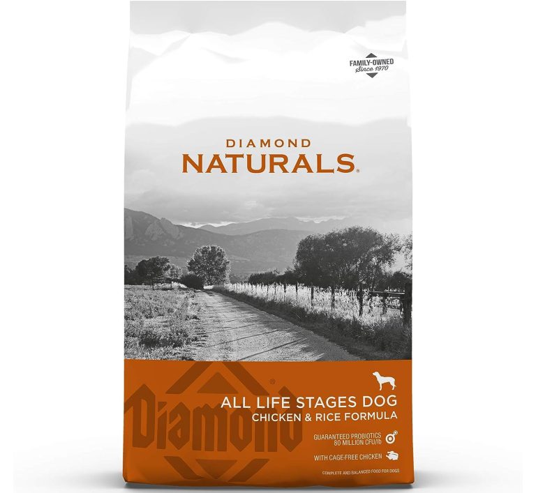 11 Best Holistic Dog Foods in 2026 - Reviews & Top Picks – Dogster