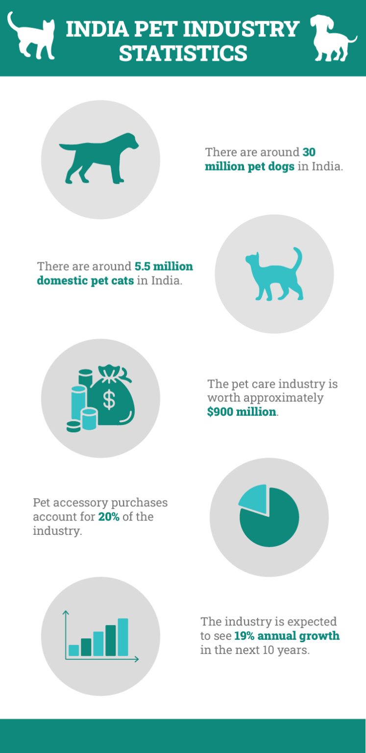 12 India Pet Industry Statistics to Know in 2025: Trends, Market Size & FAQ – Dogster