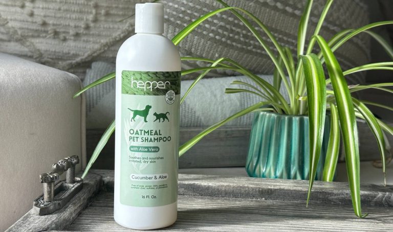 11 Best Smelling Dog Shampoos in 2024: Reviews & Top Picks – Dogster