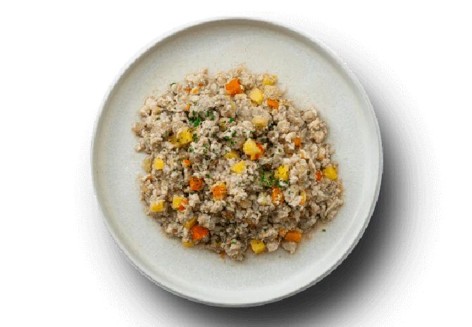 8 Best Fresh Dog Food Delivery Services in Canada of 2024 - Reviews ...