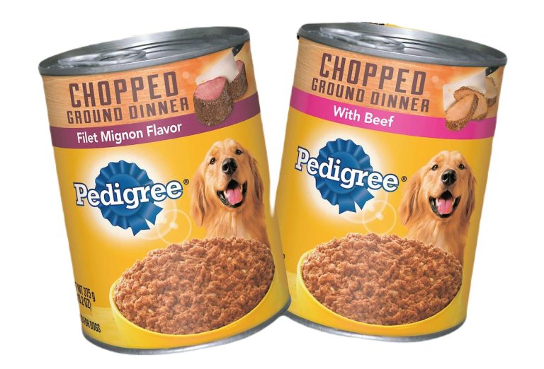 9 Best Affordable Canned & Wet Dog Food in 2026 - Reviews & Top Picks ...