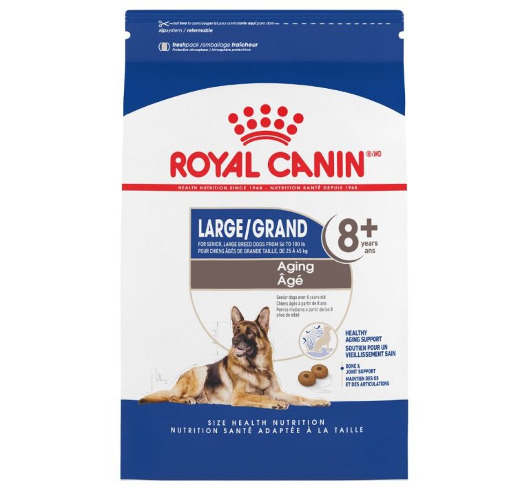 10 Best Dog Foods for Greyhounds in 2025 - Reviews & Top Picks – Dogster