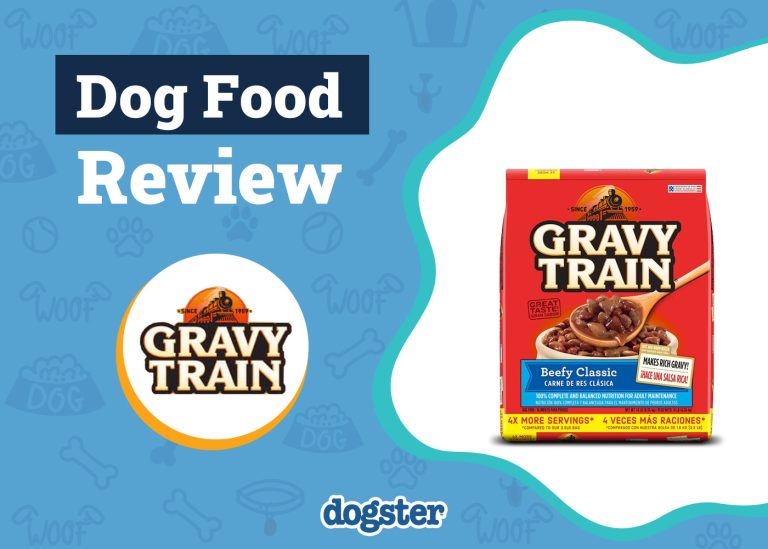 Gravy Train Dog Food Review 2026: Recalls, Pros & Cons – Dogster