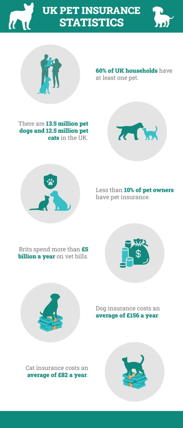 13 UK Pet Insurance Statistics & Facts to Know In 2026 – Dogster