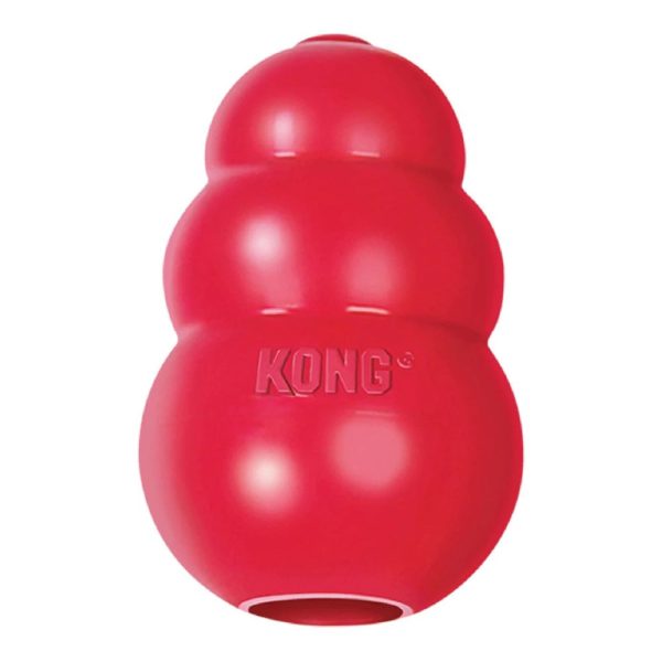 11 Vet-Approved Kong Stuffing Ideas & Recipes for Puppies & Dogs – Dogster