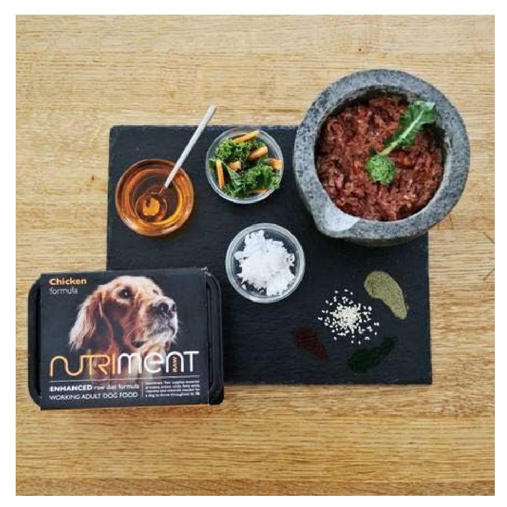 10 Best Fresh Dog Food Delivery Services in the UK in 2024 - Reviews ...