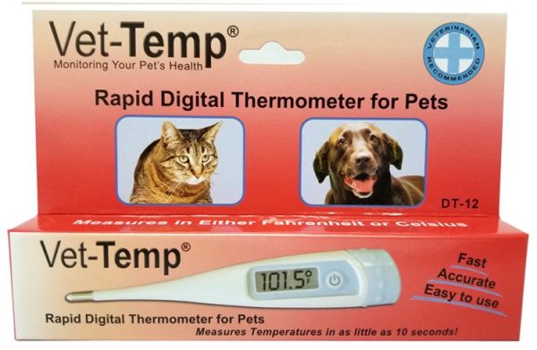 6 Best Dog Thermometers in 2025 - Reviews & Top Picks – Dogster