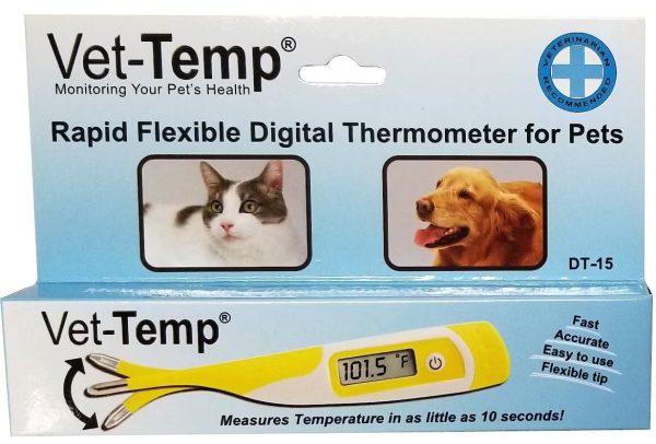 6 Best Dog Thermometers in 2026 - Reviews & Top Picks – Dogster