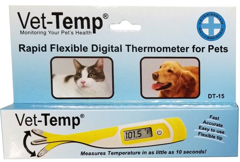 6 Best Dog Thermometers in 2026 - Reviews & Top Picks – Dogster