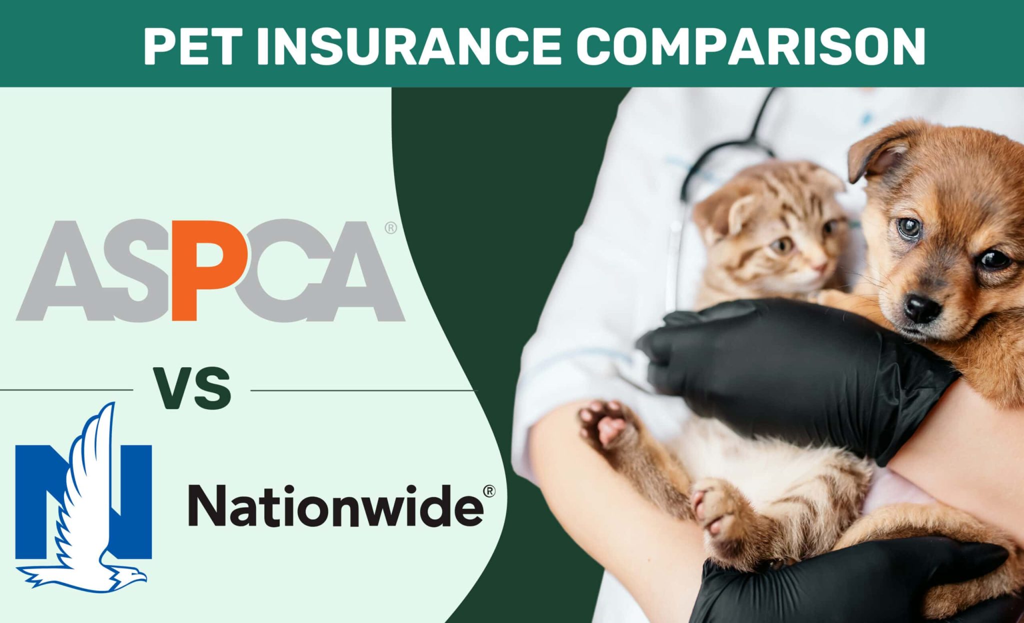 ASPCA vs. Nationwide Pet Insurance Comparison 2024: Pros, Cons ...