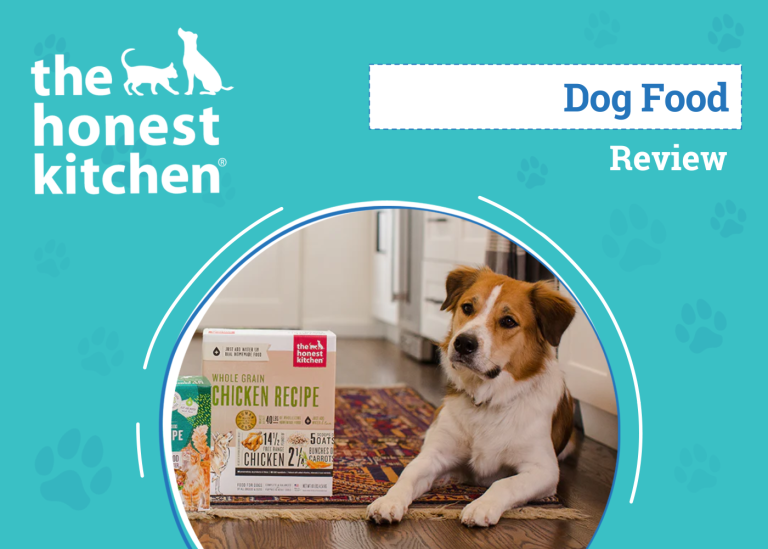 The Honest Kitchen Dog Food Review 2026: Our Expert’s Breakdown – Dogster
