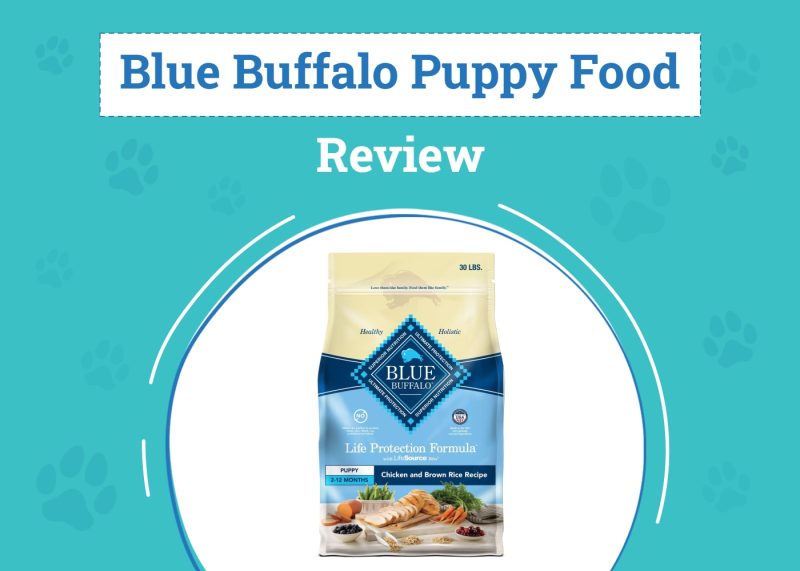 Blue Buffalo Puppy Food Review 2025: Pros, Cons, Recalls, & FAQ – Dogster