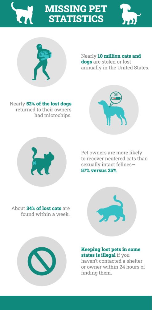 15 Missing Pet Statistics: How Many Pets Are Lost? 2026 Update – Dogster