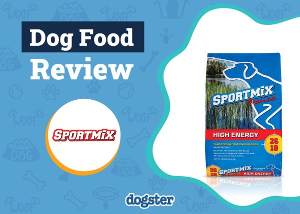Sportmix Dog Food Review 2026: Recalls, Pros & Cons & FAQ – Dogster