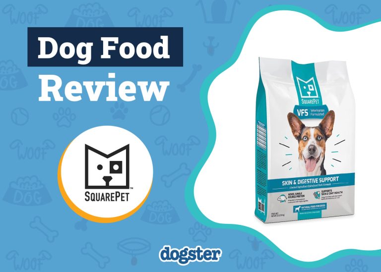 SquarePet Dog Food Review 2026: Recalls, Pros & Cons – Dogster