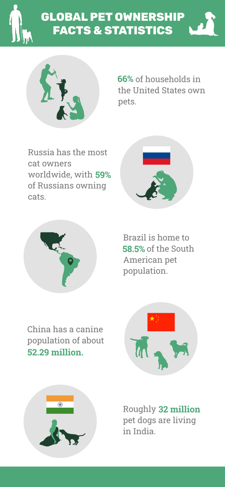 20 Global Pet Ownership Statistics to Know in 2024 – Dogster