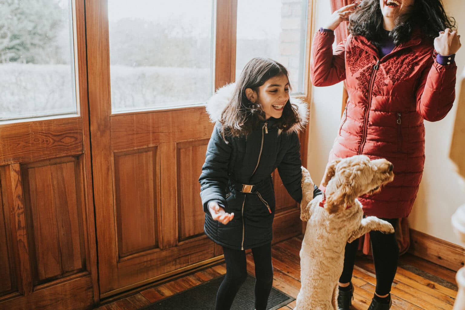 How to Stop Your Dog from Jumping on People in 5 Steps – Dogster