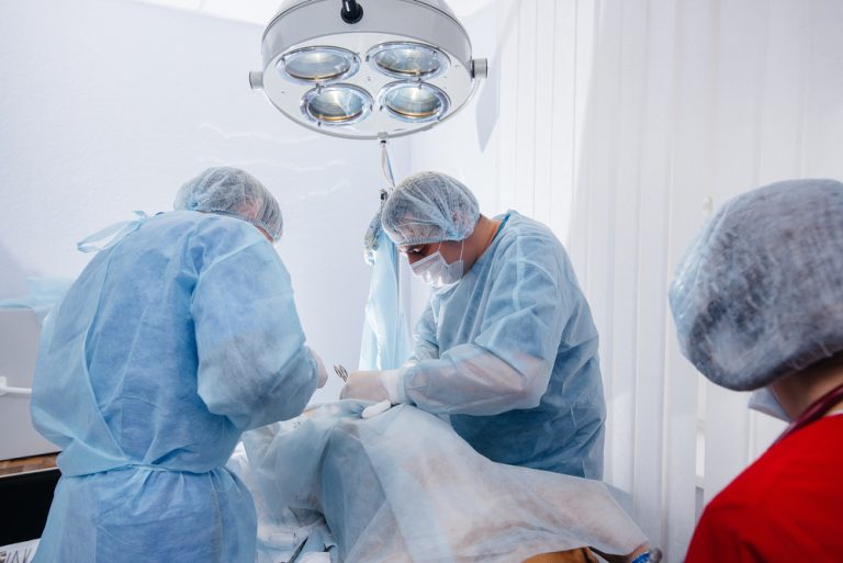 How Much Does a Dog Cesarean Section Cost? (2026 Price Guide) – Dogster