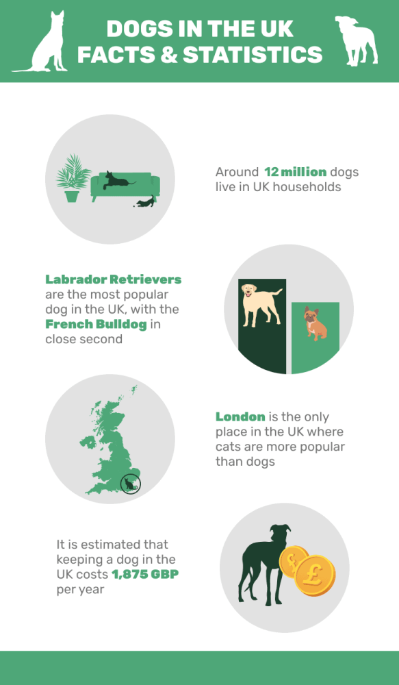 How Many Dogs are There in the UK? 2025 Statistics & Facts – Dogster